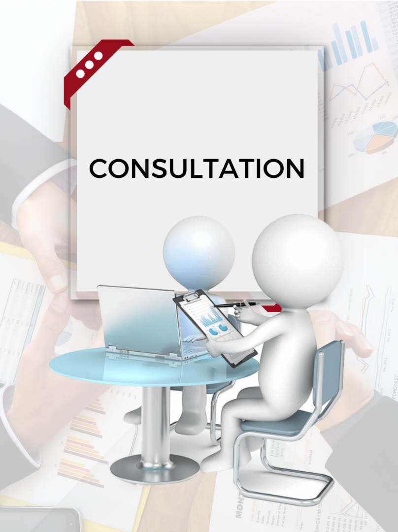 Consultation - Saga Instruments Pte Ltd